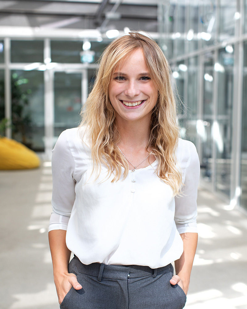 Team - dimedis English